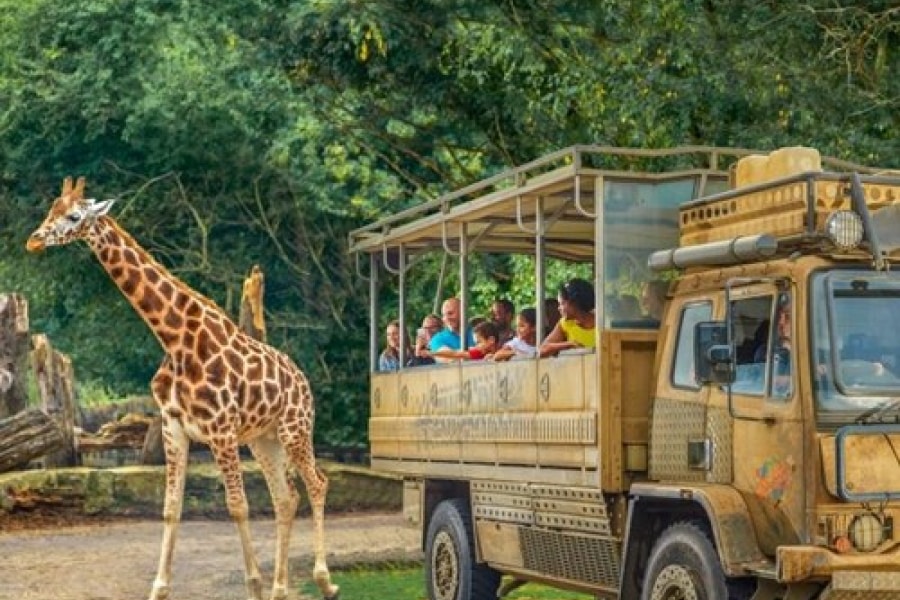 Chessington World of Adventures Rides | Day Out With The Kids