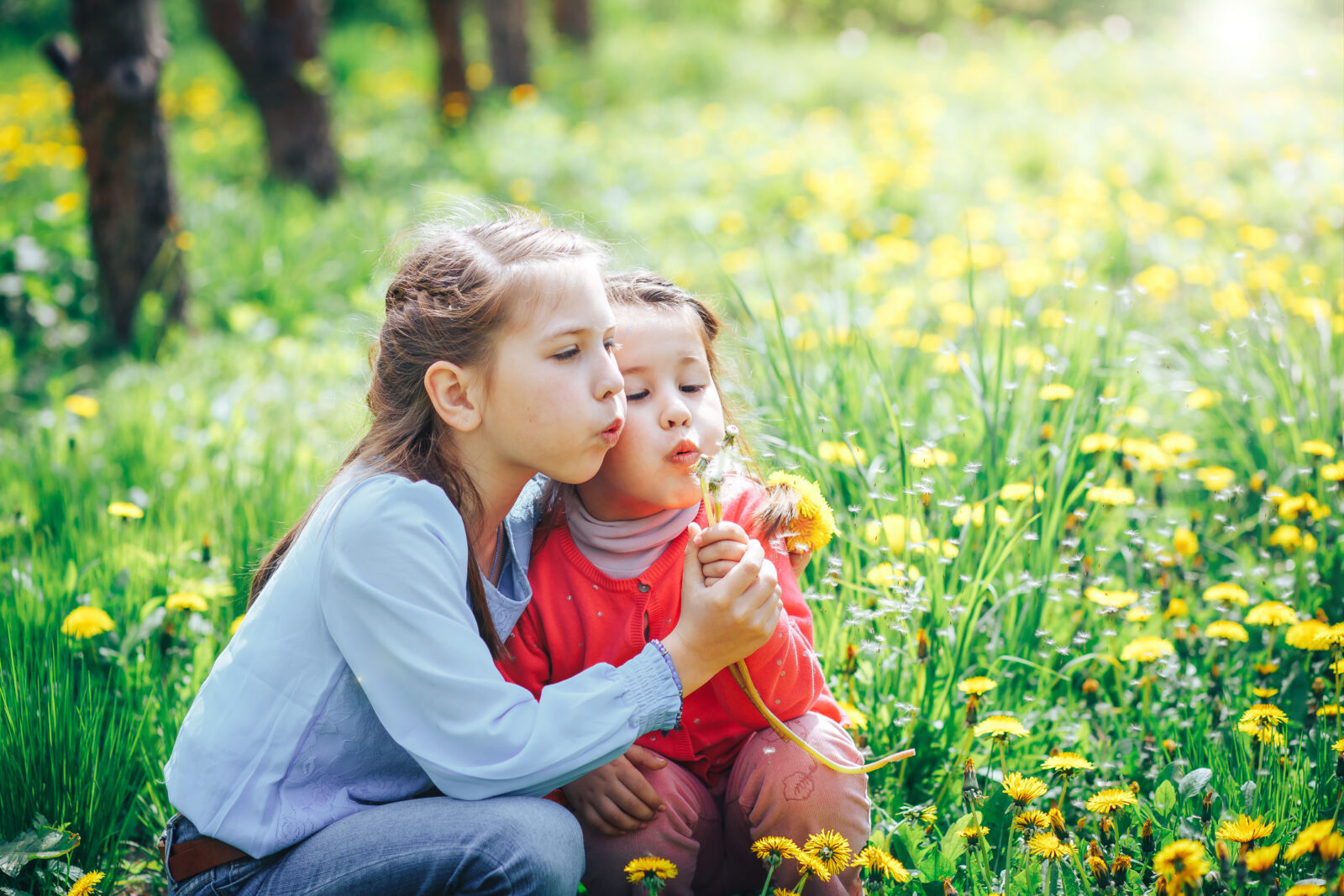 Spring Days Out | Top Things To Do | DOWTK
