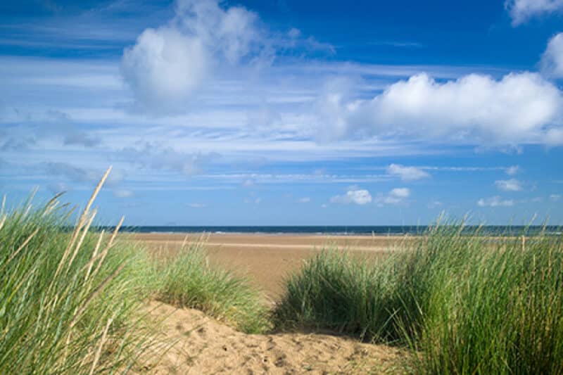 Beaches Near Me | Top Things To Do | DOWTK