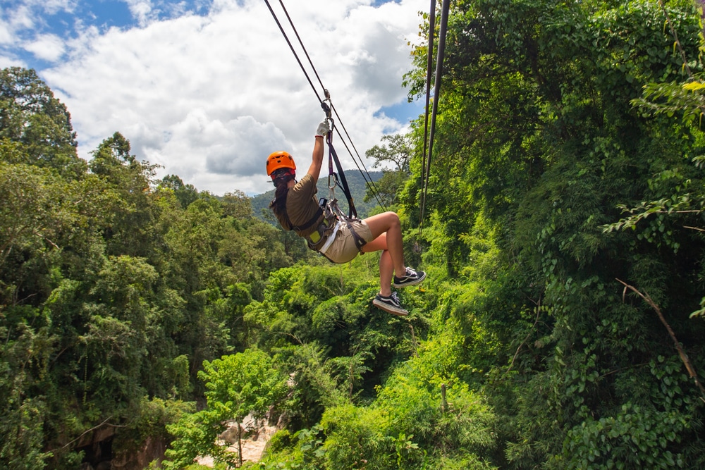 Zip Wire Near Me | Top Things To Do | DOWTK