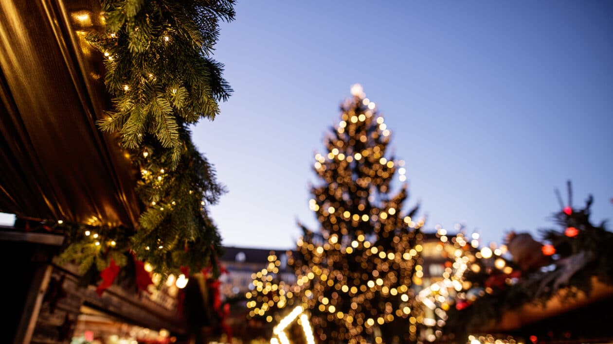 Christmas Fairs Near Me | Top Things To Do | DOWTK