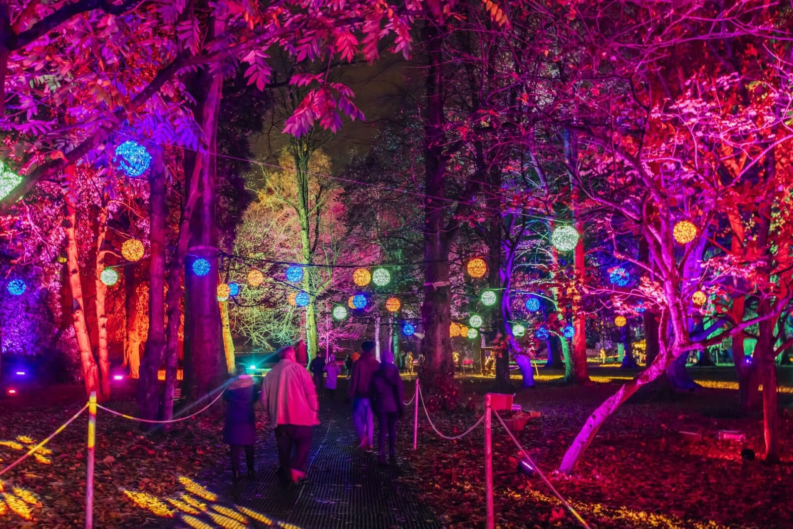 Christmas At Bute Park: A Review | Day Out With The Kids