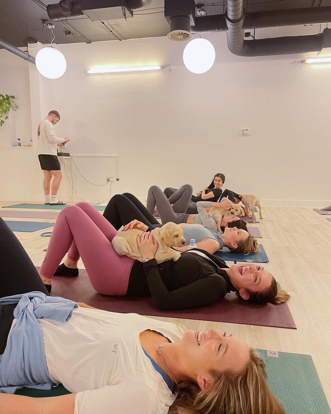 Puppy Yoga Near Me | Day Out With The Kids