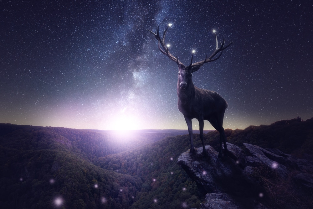 Best Places To Go Stargazing In The UK | Day Out With The Kids