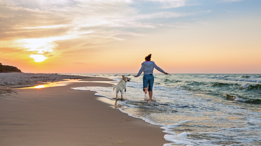 Best Dog-friendly Beaches Near London | Day Out With The Kids