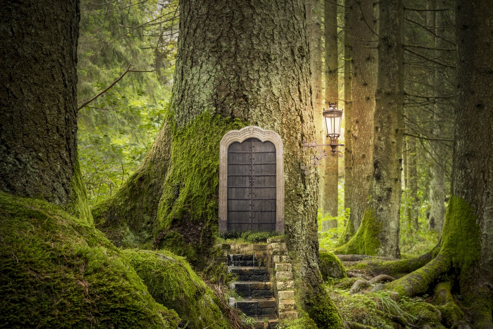 Magical Attractions In The UK | Day Out With The Kids
