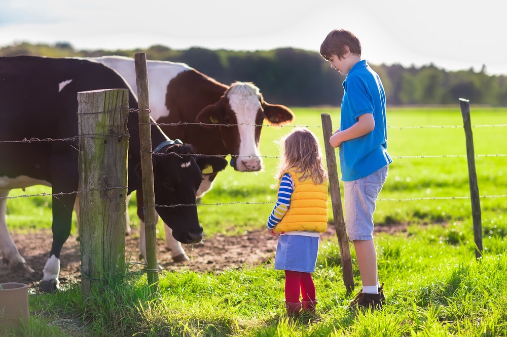 Free Farm Fun For All The Family | Top Things To Do | DOWTK