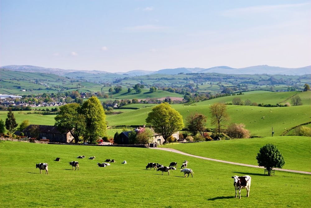 Free Farm Fun For All The Family | Top Things To Do | DOWTK