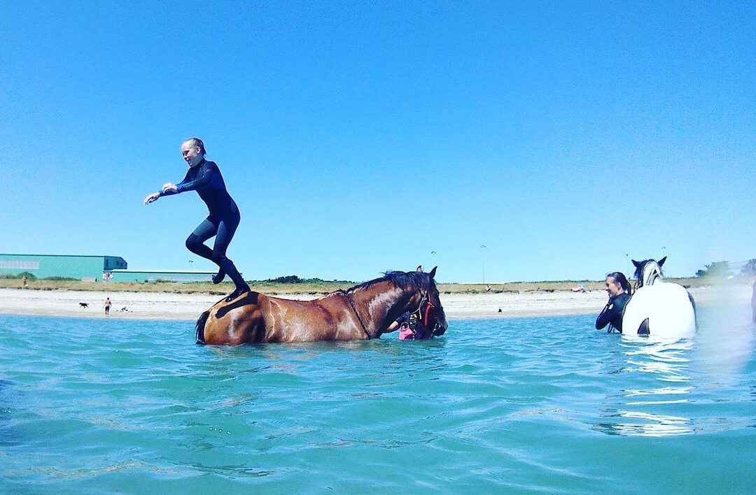 The Cornwall Swimming Horses Experience | Day Out With The Kids