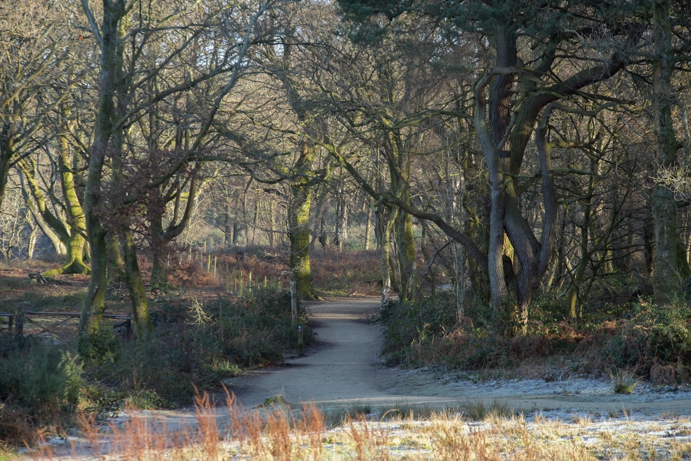 Best Waterfall Trails Near London | Day Out With The Kids