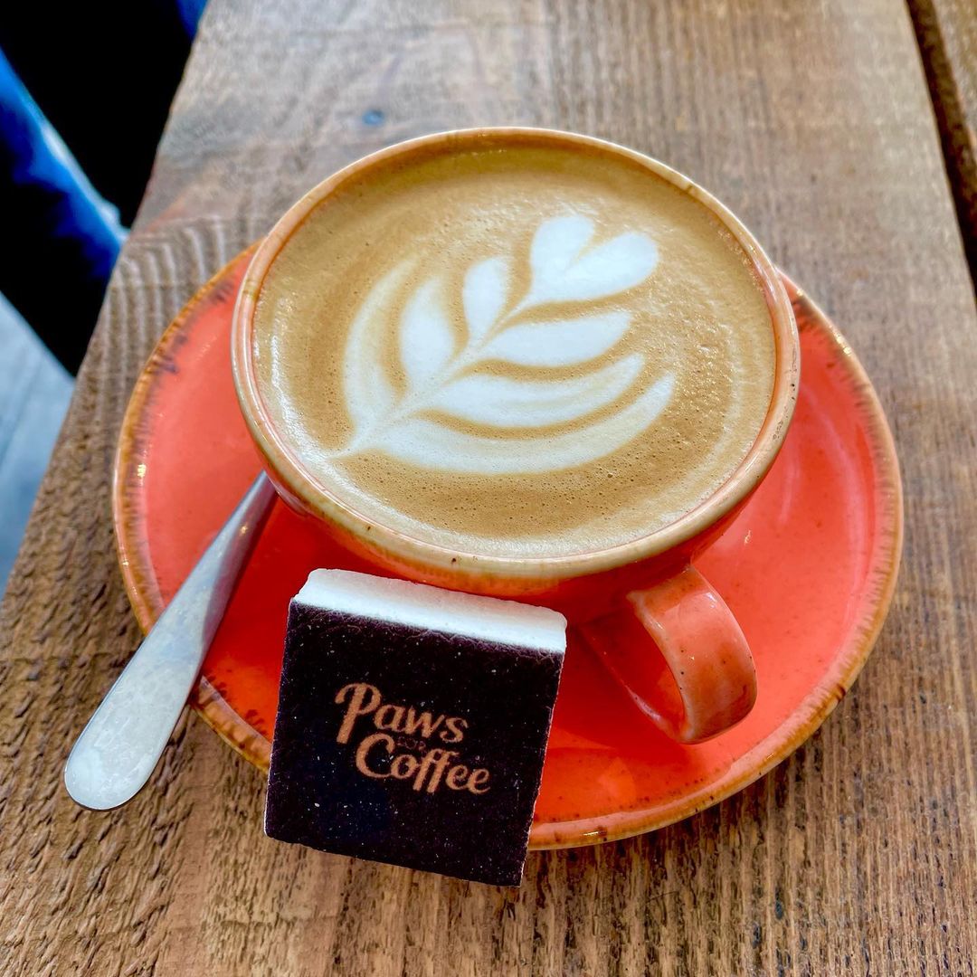 Must-Visit Dog Cafe: Paws For Coffee | Day Out With The Kids