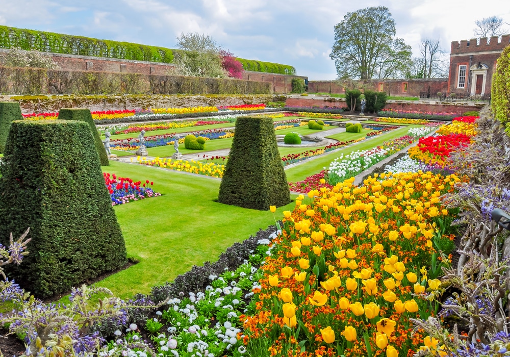 A Blooming Marvel: The Hampton Court Palace Tulip Festival | DOWTK