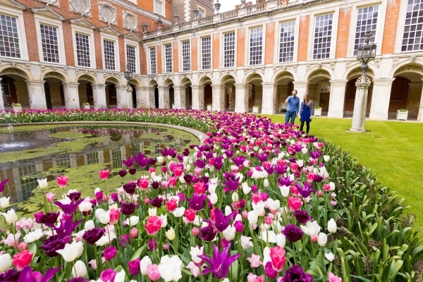 A Blooming Marvel: The Hampton Court Palace Tulip Festival | DOWTK